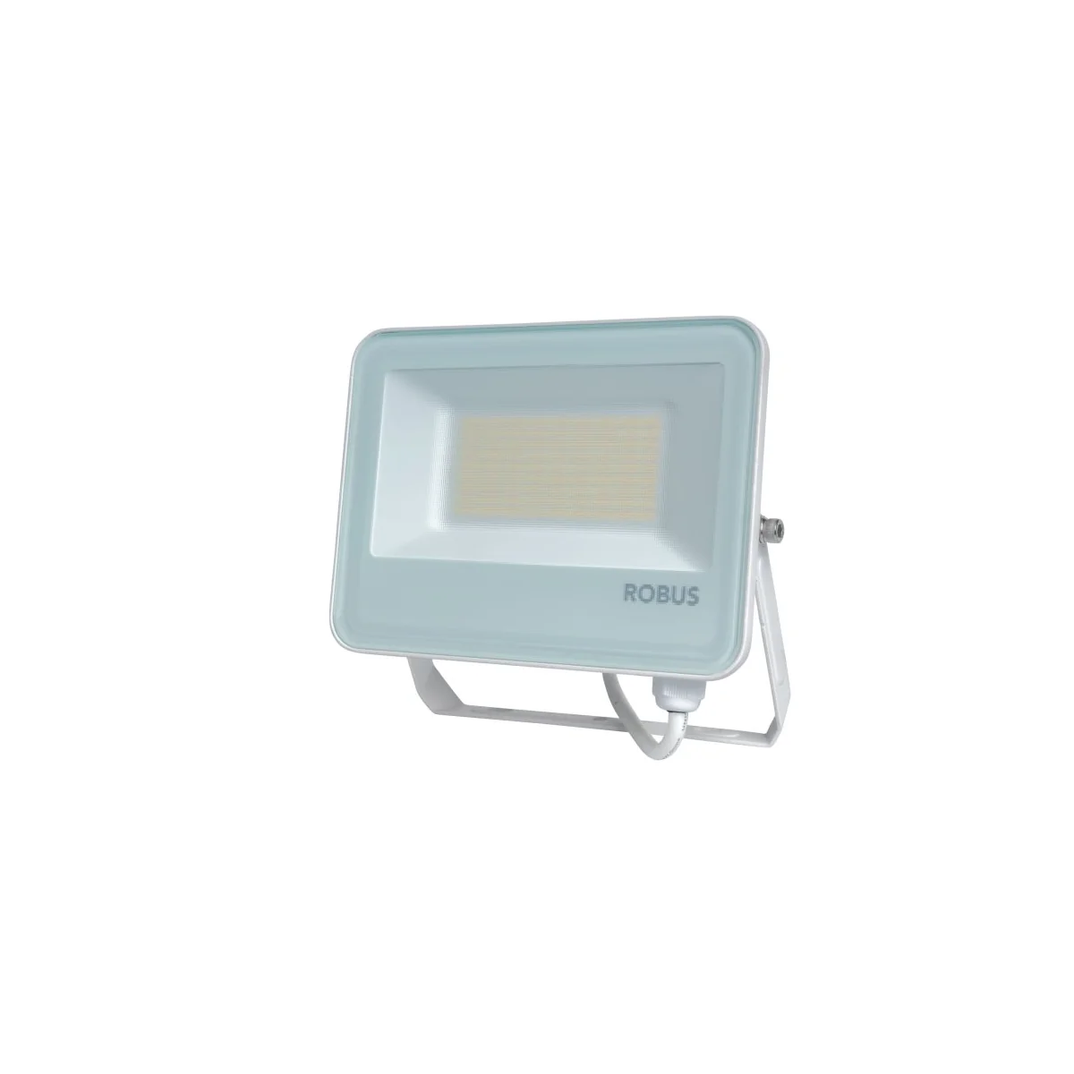 Robus Selest RST3050CCT3-01 White 30-50W LED Floodlight CCT IP65 ...