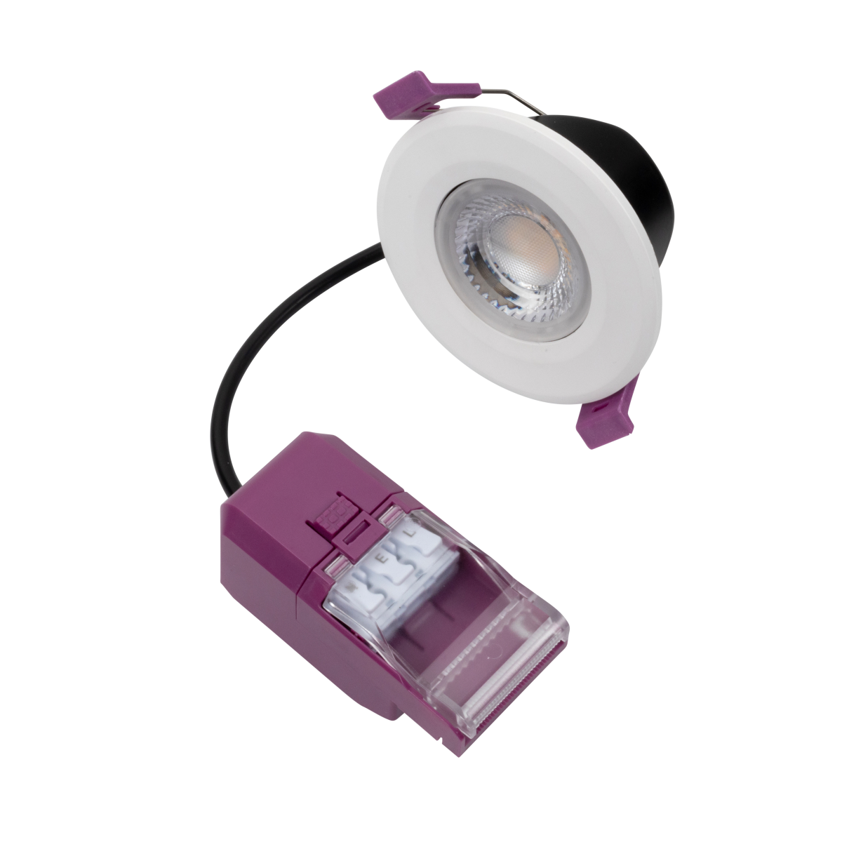 Robus RTETX-01 Triumph Express Tilt 4W / 6W Dual Wattage IP65 Fire ...